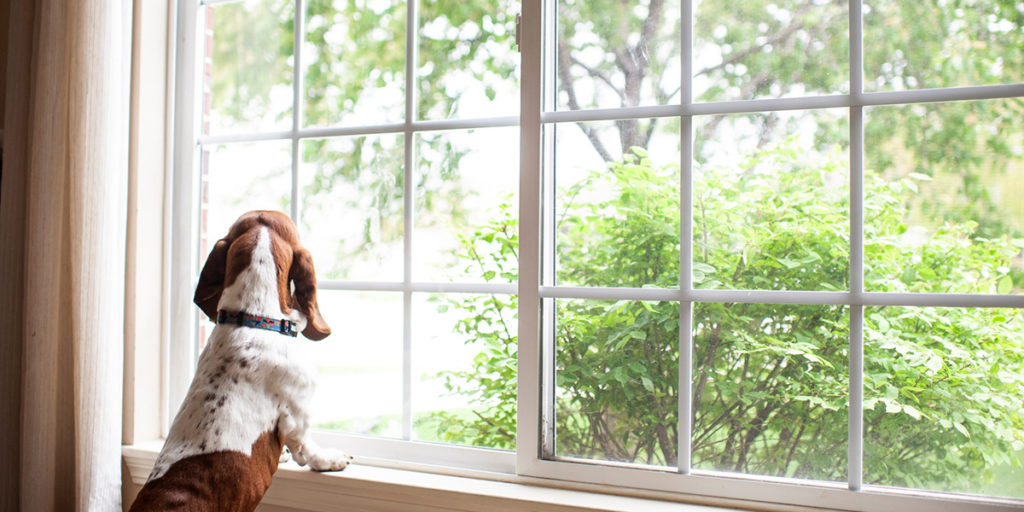 Solar Control Window Film for Climate Comfort - Concord Window Film