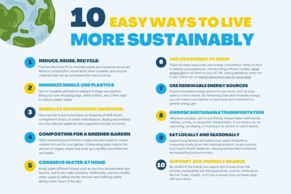 10 Easy Ways To Live More Sustainably - Concord Window Film