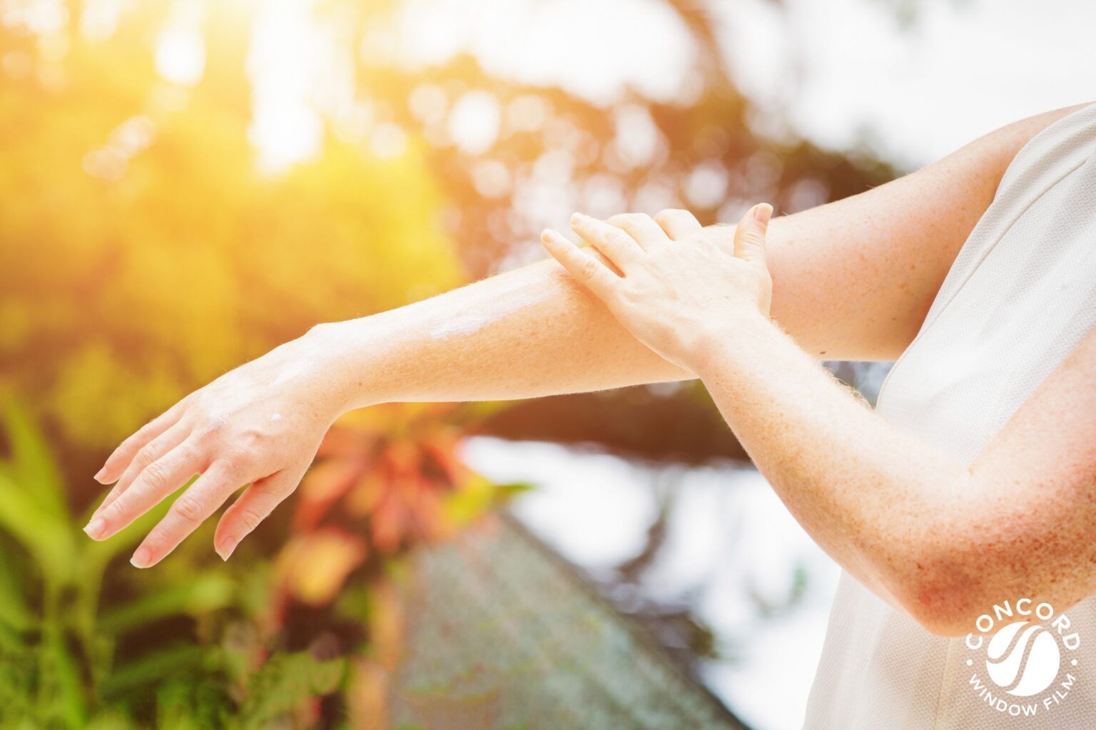 UV Blocking Window Film Everything You Need to Know - Concord Window Film